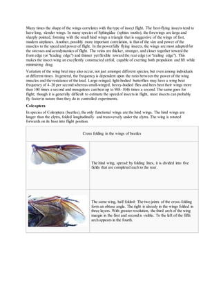 Insects wing | DOCX