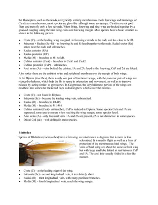 Insects wing | DOCX