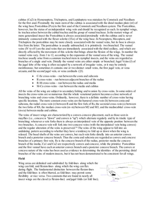 Insects wing | DOCX