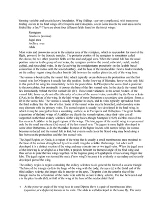Insects wing | DOCX