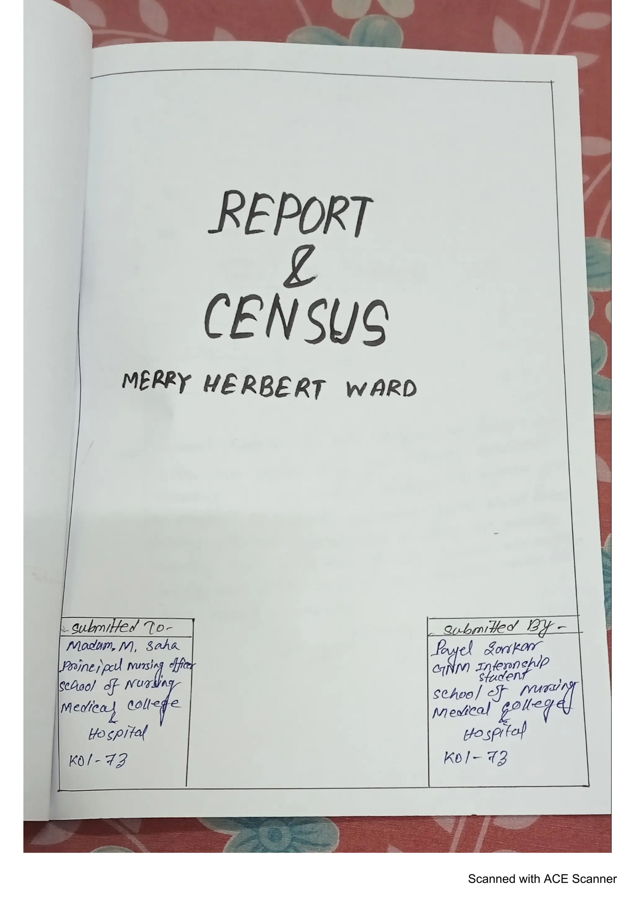 report an census.pdf