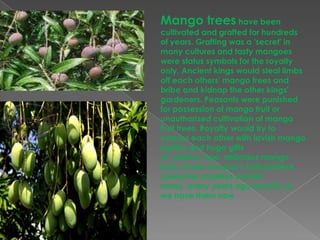 Report by ariefhidayat | PPT