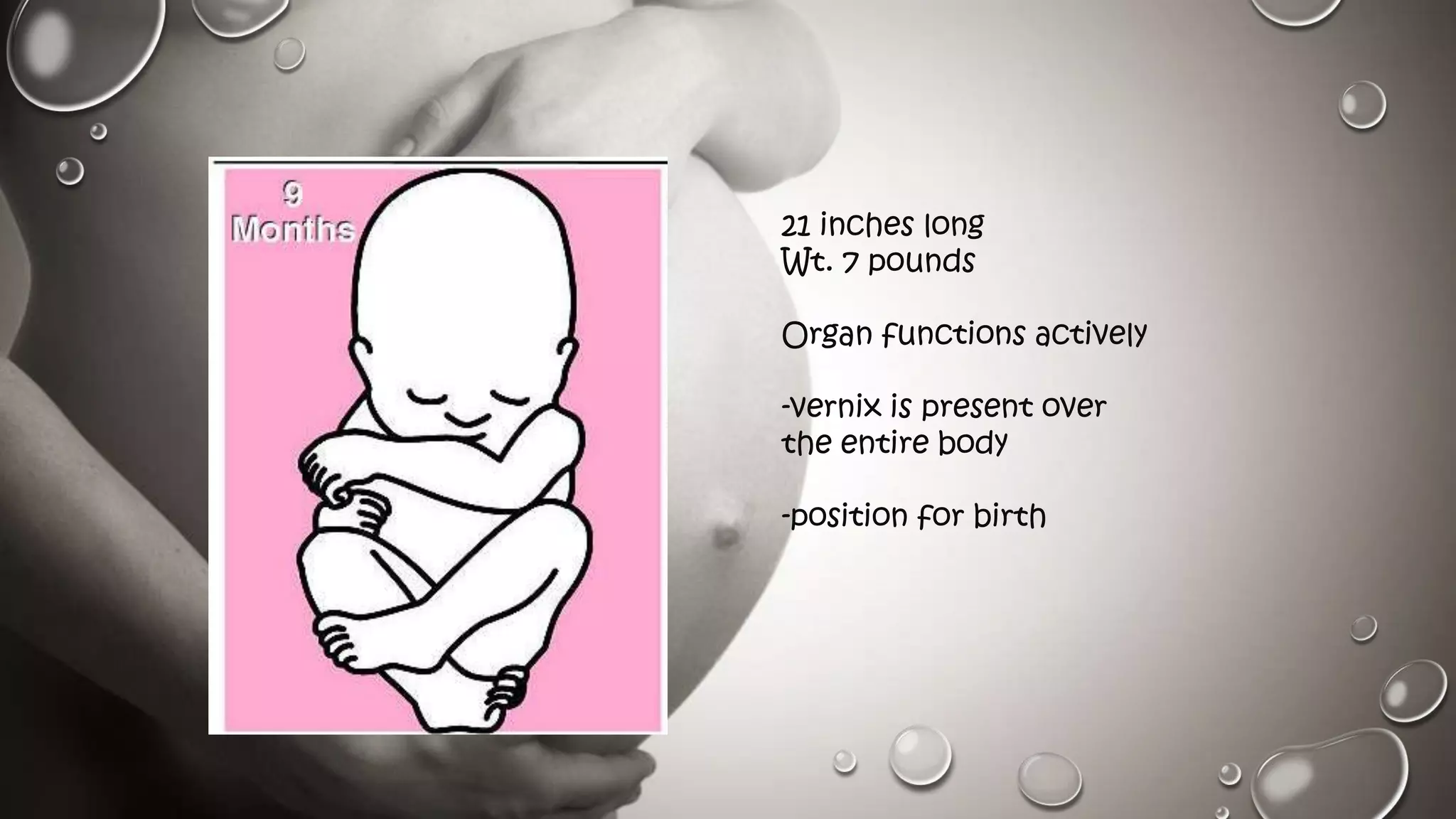 Pre-natal Development | PPTX