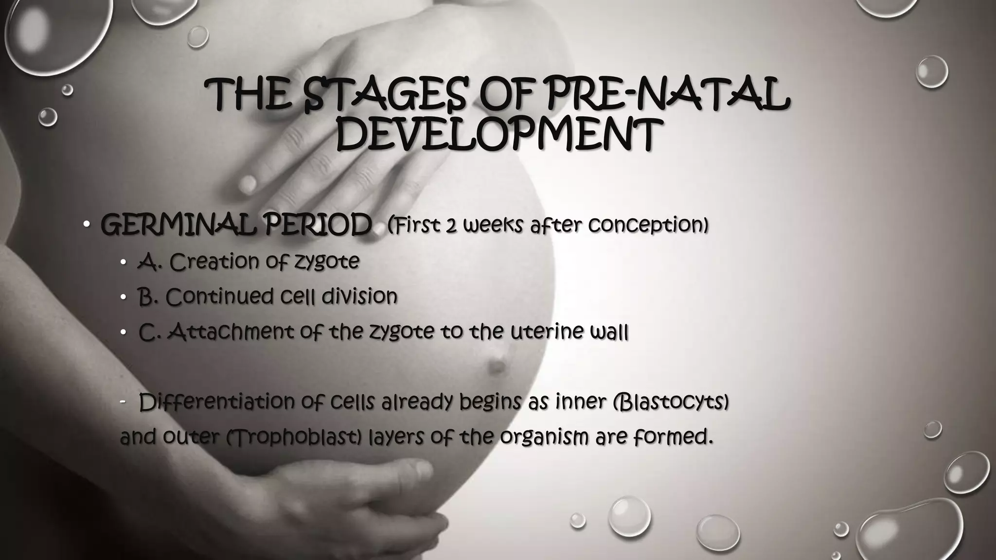 Pre-natal Development | PPTX
