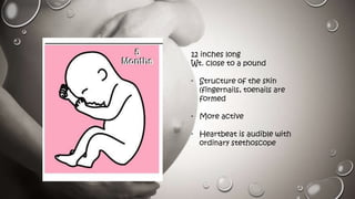 Pre-natal Development | PPTX