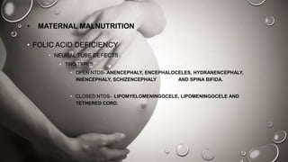 Pre-natal Development | PPTX