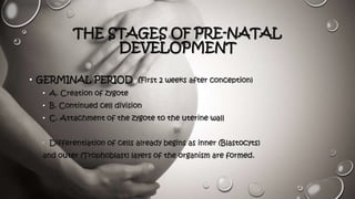 Pre-natal Development | PPTX