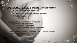 Pre-natal Development | PPTX