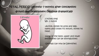 Pre-natal Development | PPTX