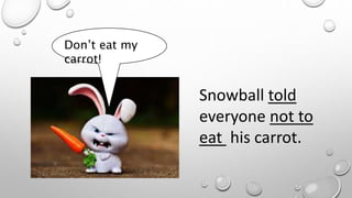 reported-speech-commands-requests-flashcards-worksheet-templates ...