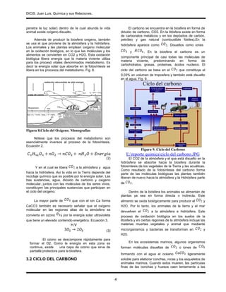Reporte final de quimica | DOC