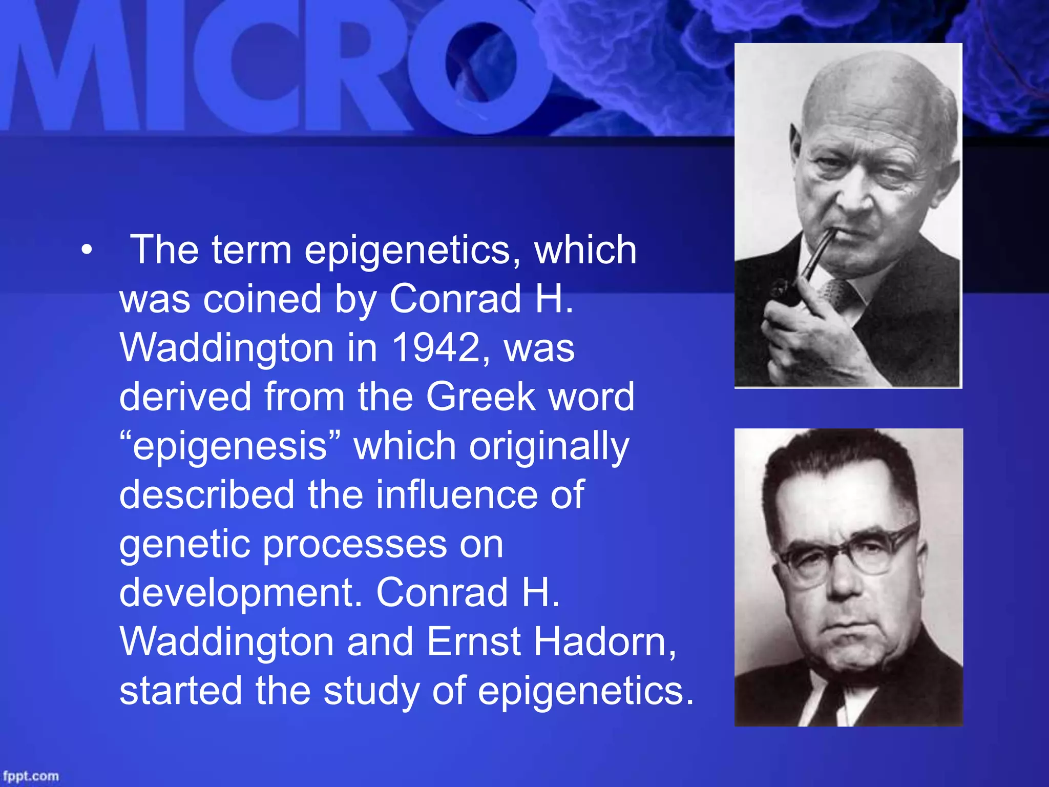 Epigenetics | PPTX