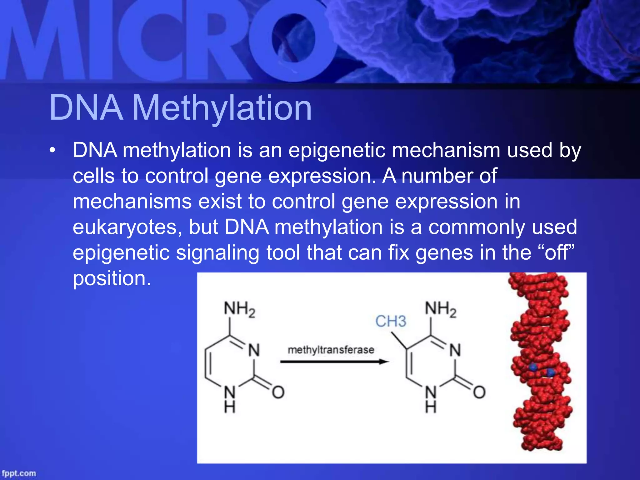 Epigenetics | PPTX