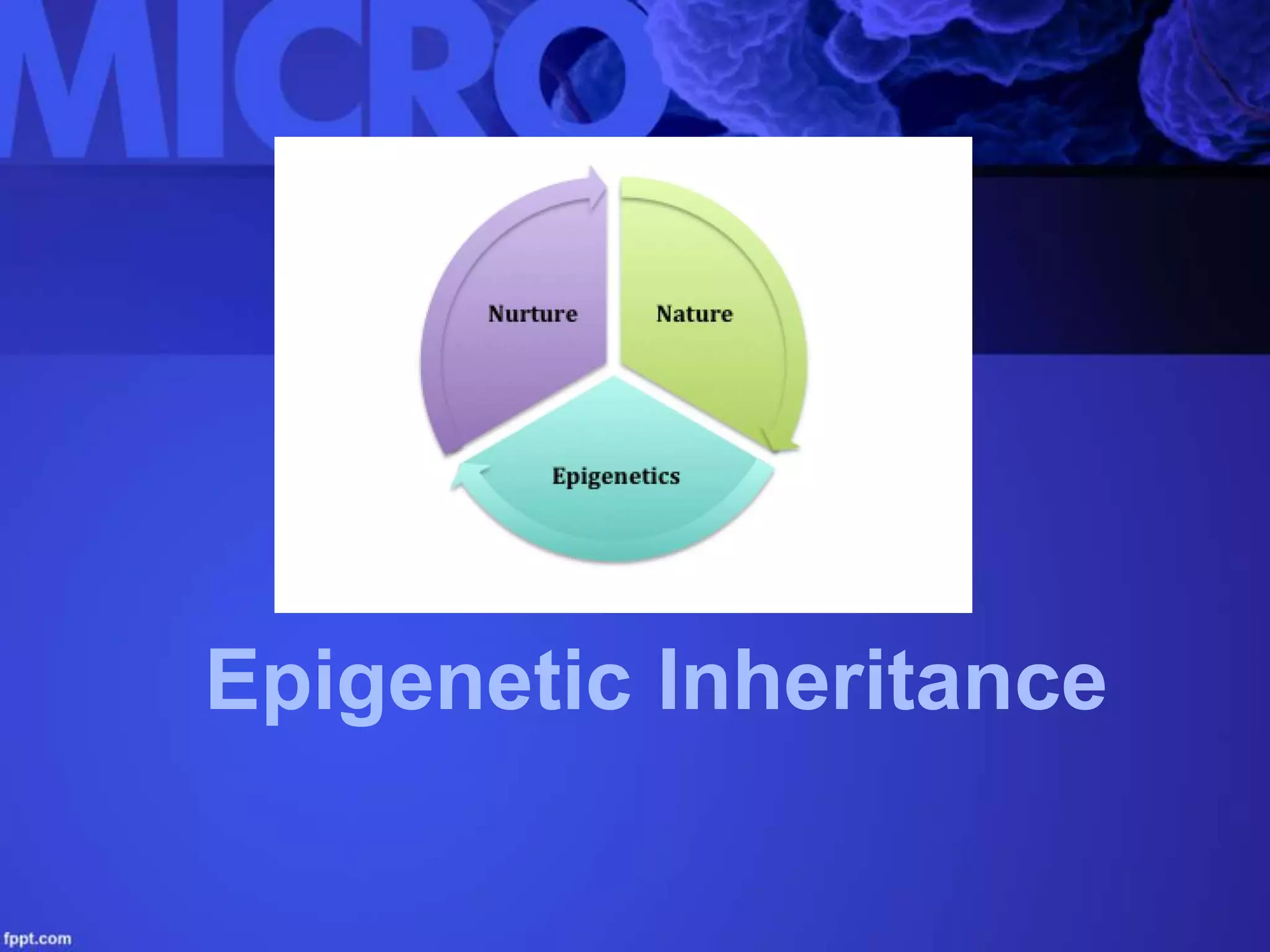 Epigenetics | PPTX