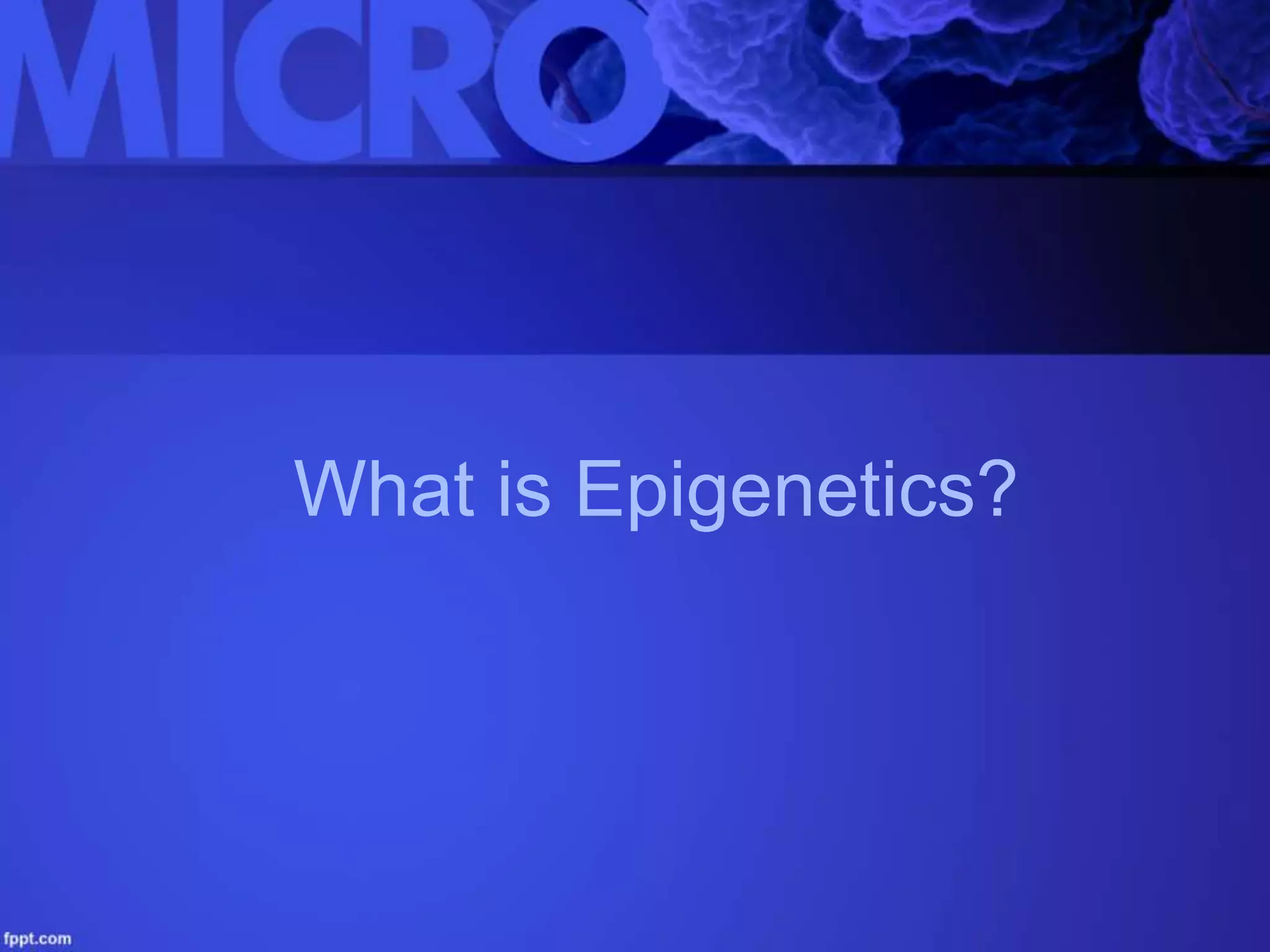 Epigenetics | PPTX