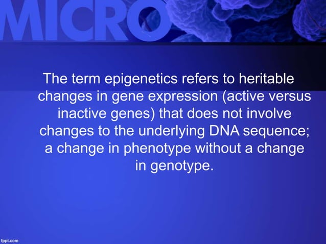 Epigenetics | PPTX | Genetics | Science