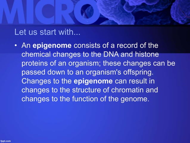 Epigenetics | PPTX | Genetics | Science