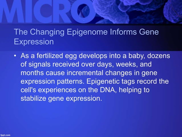 Epigenetics | PPTX | Genetics | Science