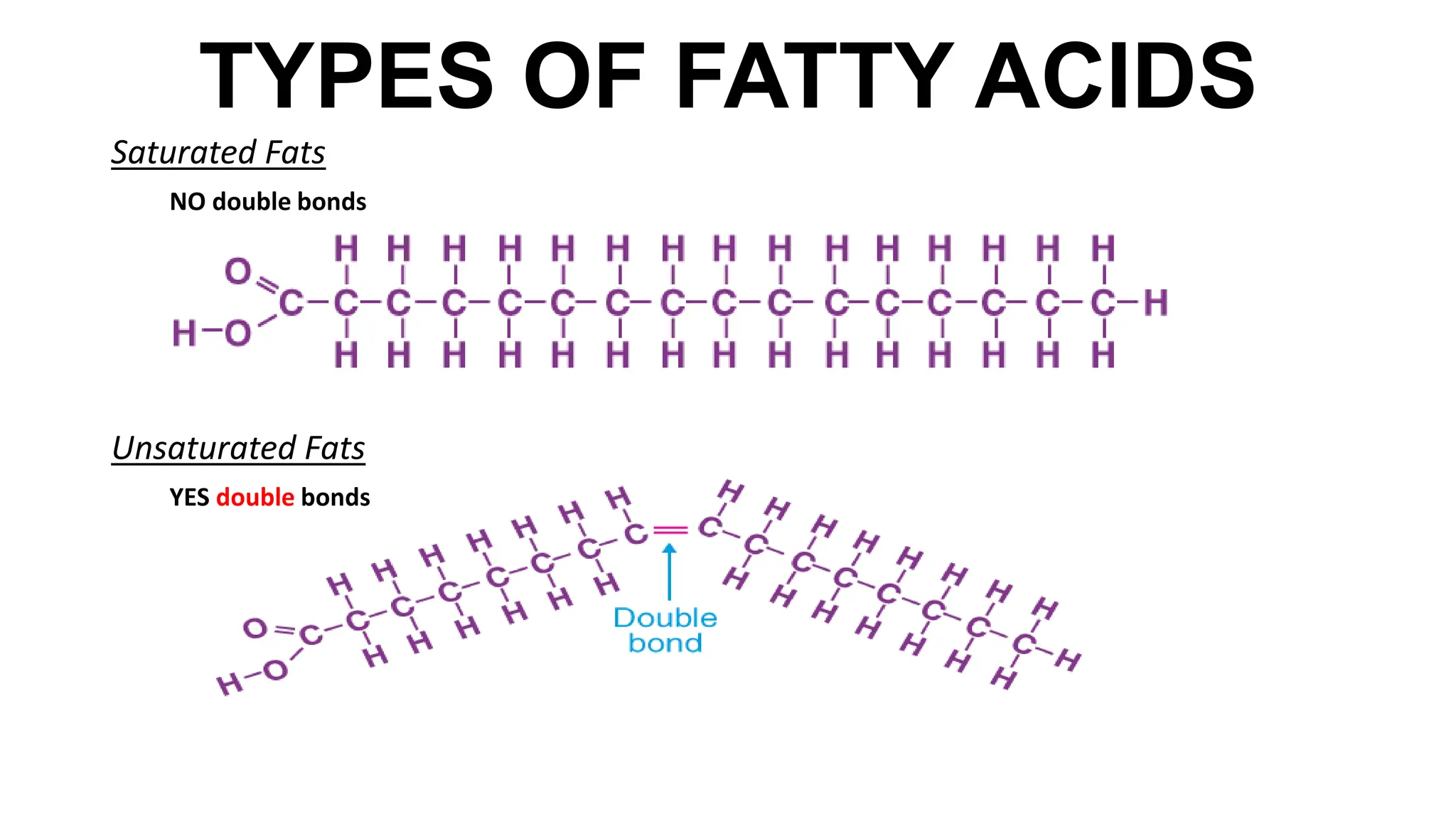 The Biosynthesis of Fatty Acids AnatomyPhysiology | PPTX