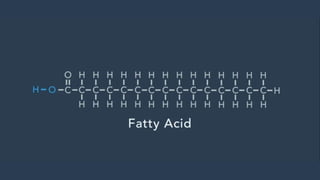 The Biosynthesis of Fatty Acids AnatomyPhysiology | PPTX | Chemistry ...