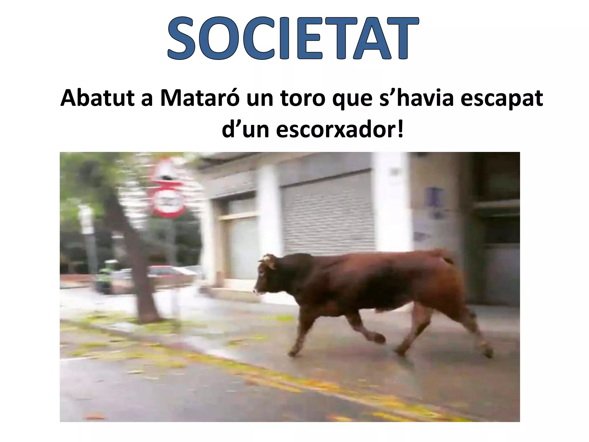 Reporter/a de la setmana | PPTX