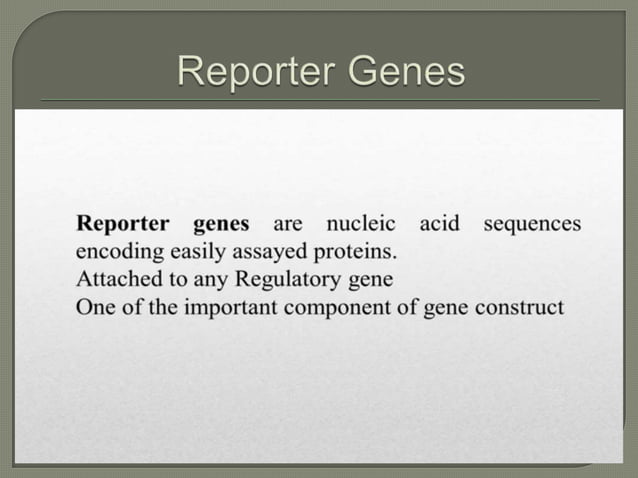 Reporter gene.pptx | Genetics | Science