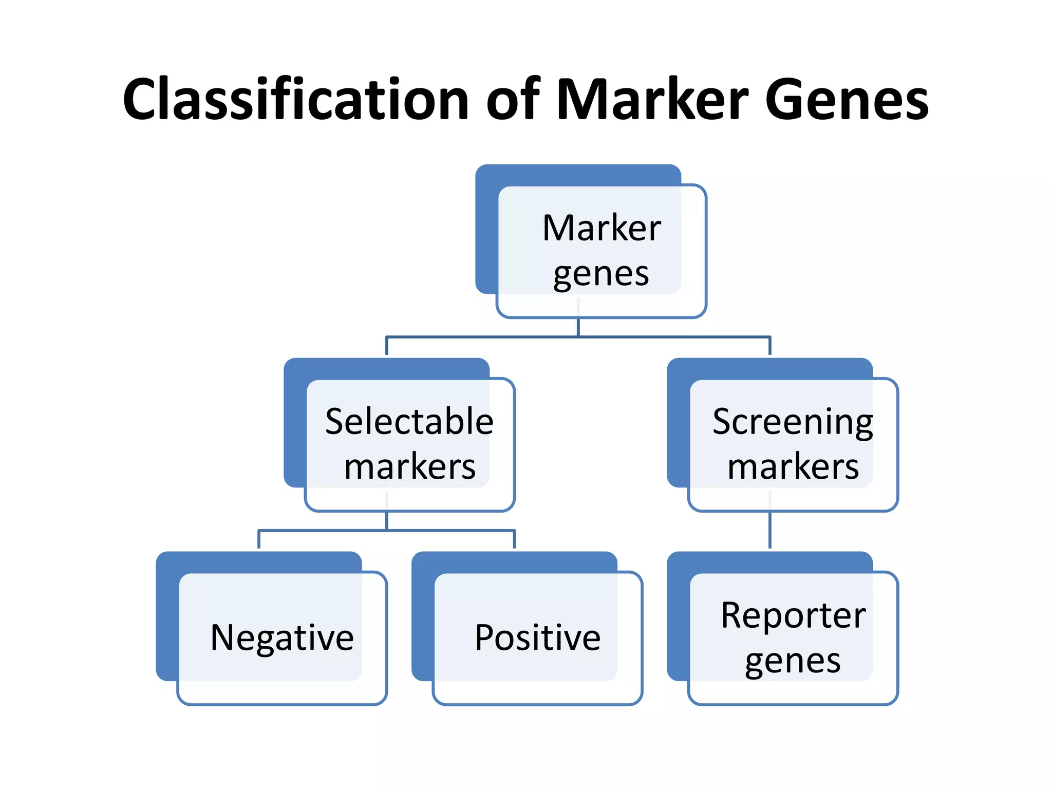 Reporter genes | PPTX