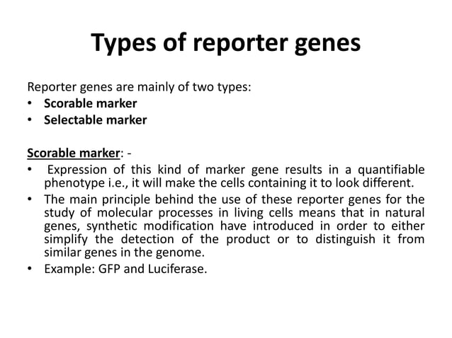 Reporter genes | PPTX | Biotech and Biomedical Industry | Industries