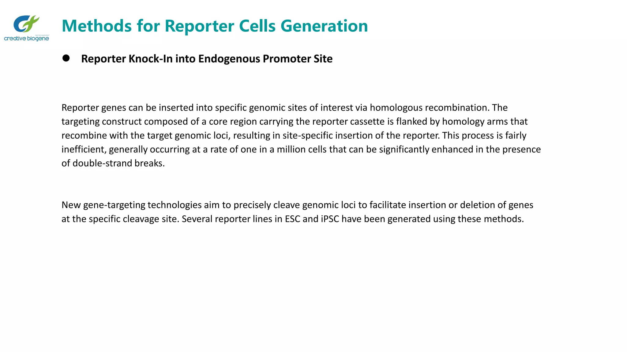 Reporter stem cells generation | PPT