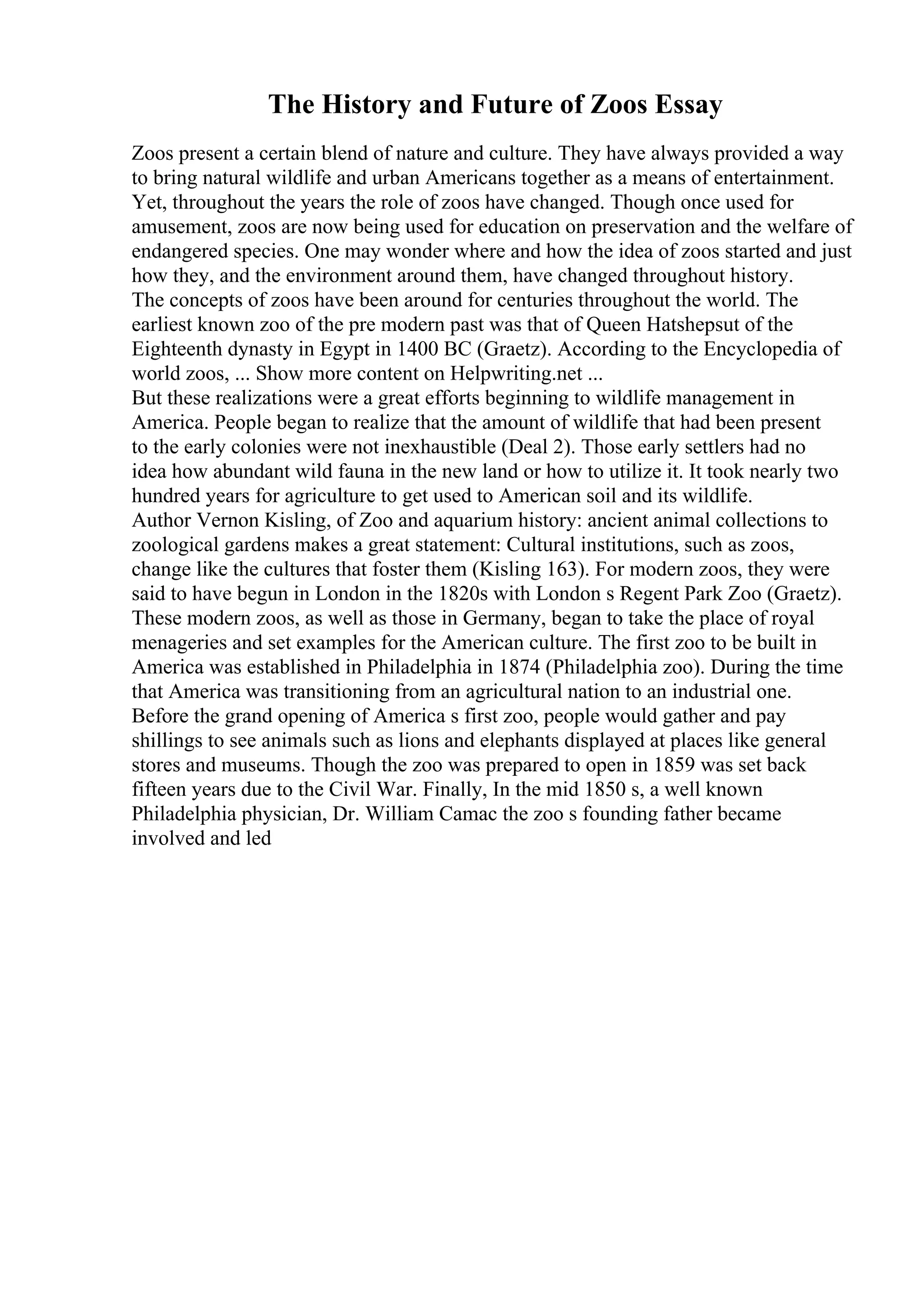 Report Essay Example | PDF