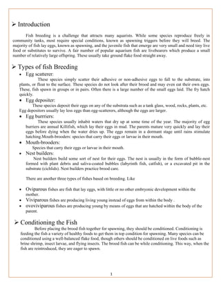 Breeding Report of angle | PDF