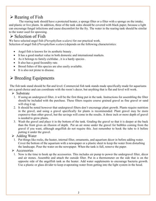 Breeding Report of angle | PDF