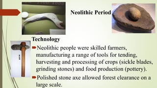 Neolithic Period | PPTX