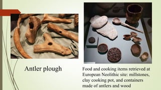 Neolithic Period | PPTX