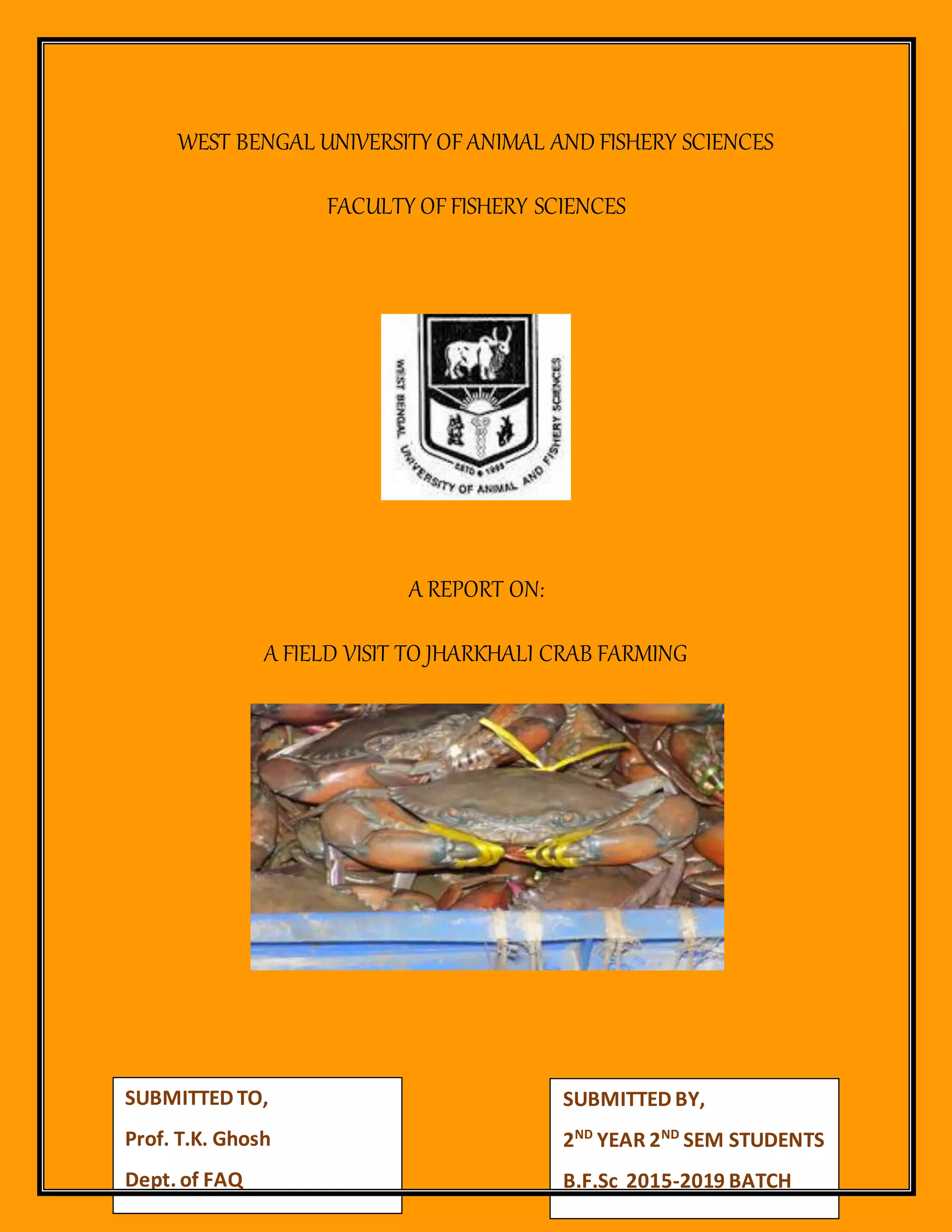 Jharkhali field Report front page | DOCX