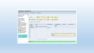 Report Generation by Quick Viewer-SQVI.pptx