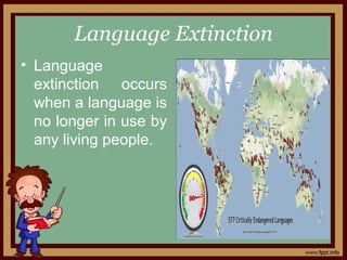 Language and Culture | PPT