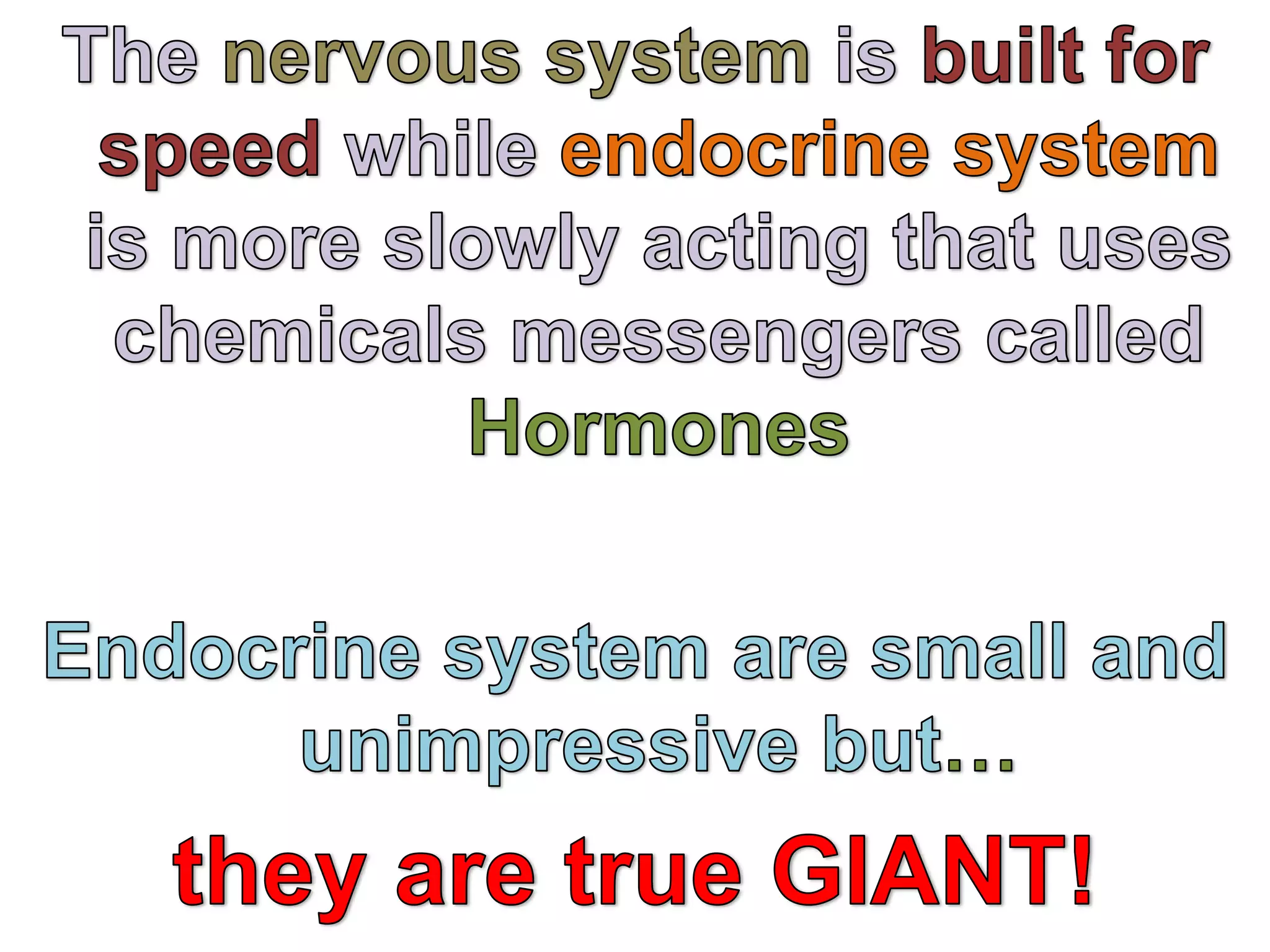 Endocrine System | PPT