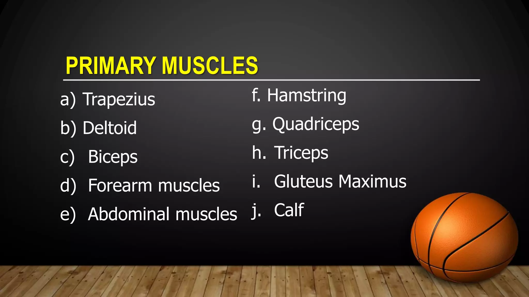 Anatomy and Physiology (basketball) | PPTX