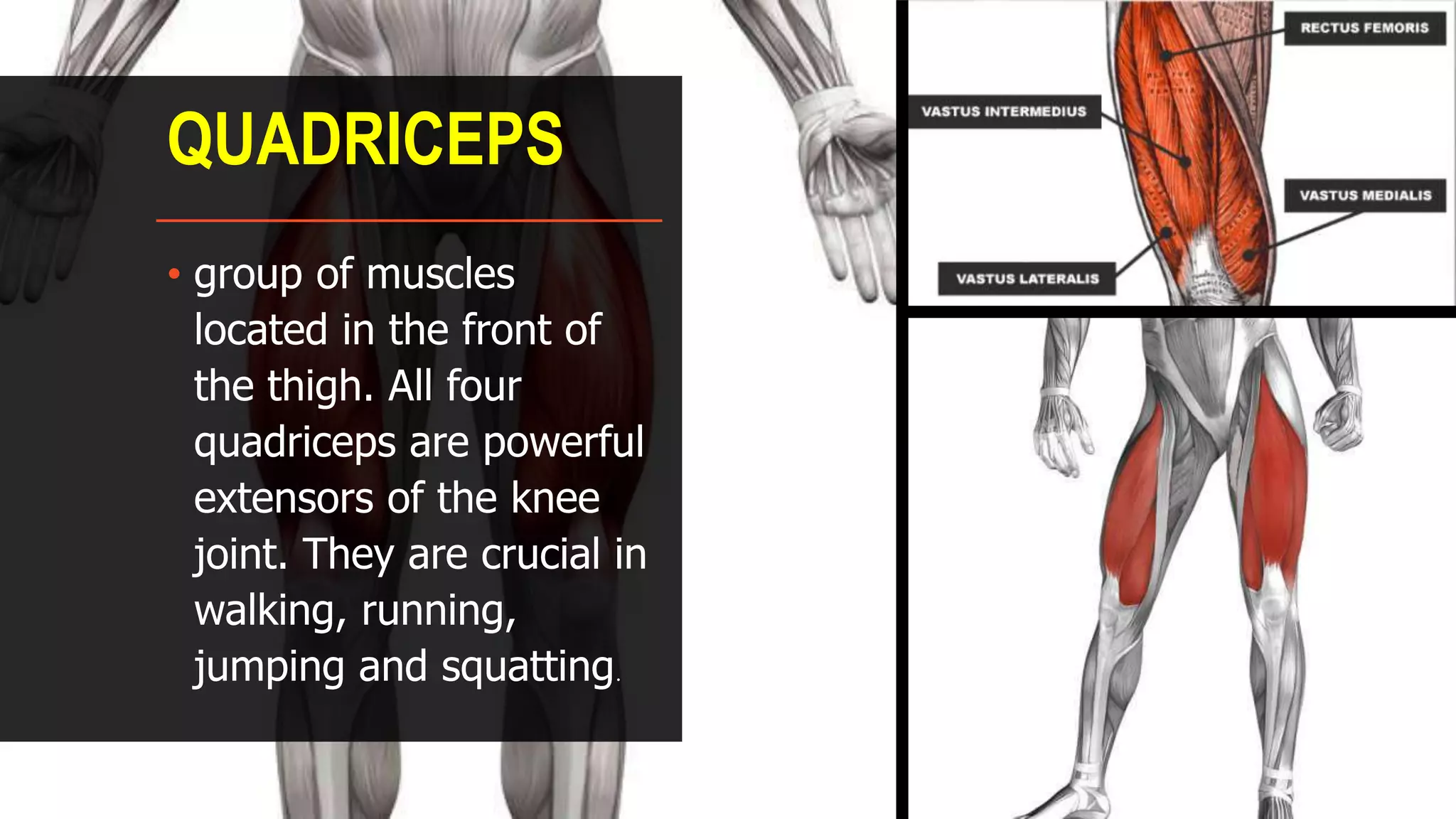 Anatomy and Physiology (basketball) | PPTX