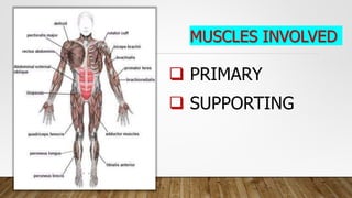 Anatomy and Physiology (basketball) | PPTX