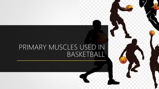Anatomy and Physiology (basketball) | PPTX