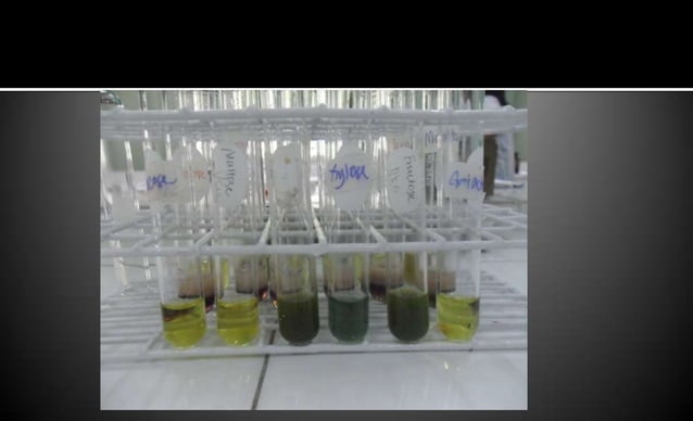 Bial's Test | PPTX | Chemistry | Science