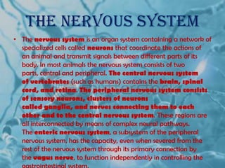Report in biology (nervous system) | PPTX