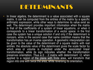 Report in determinants | PPTX | Physics | Science