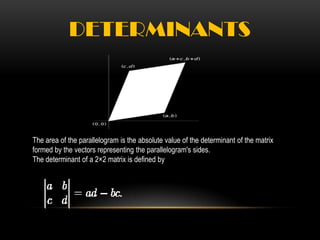 Report in determinants | PPTX | Physics | Science
