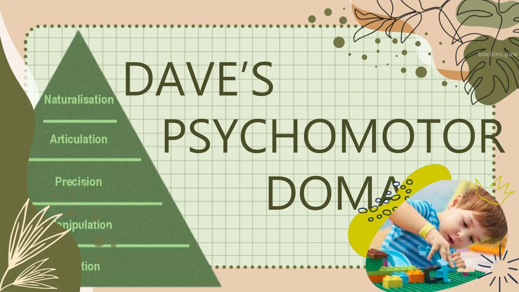DAVE'S PSYCHOMOTOR DOMAIN | PPTX