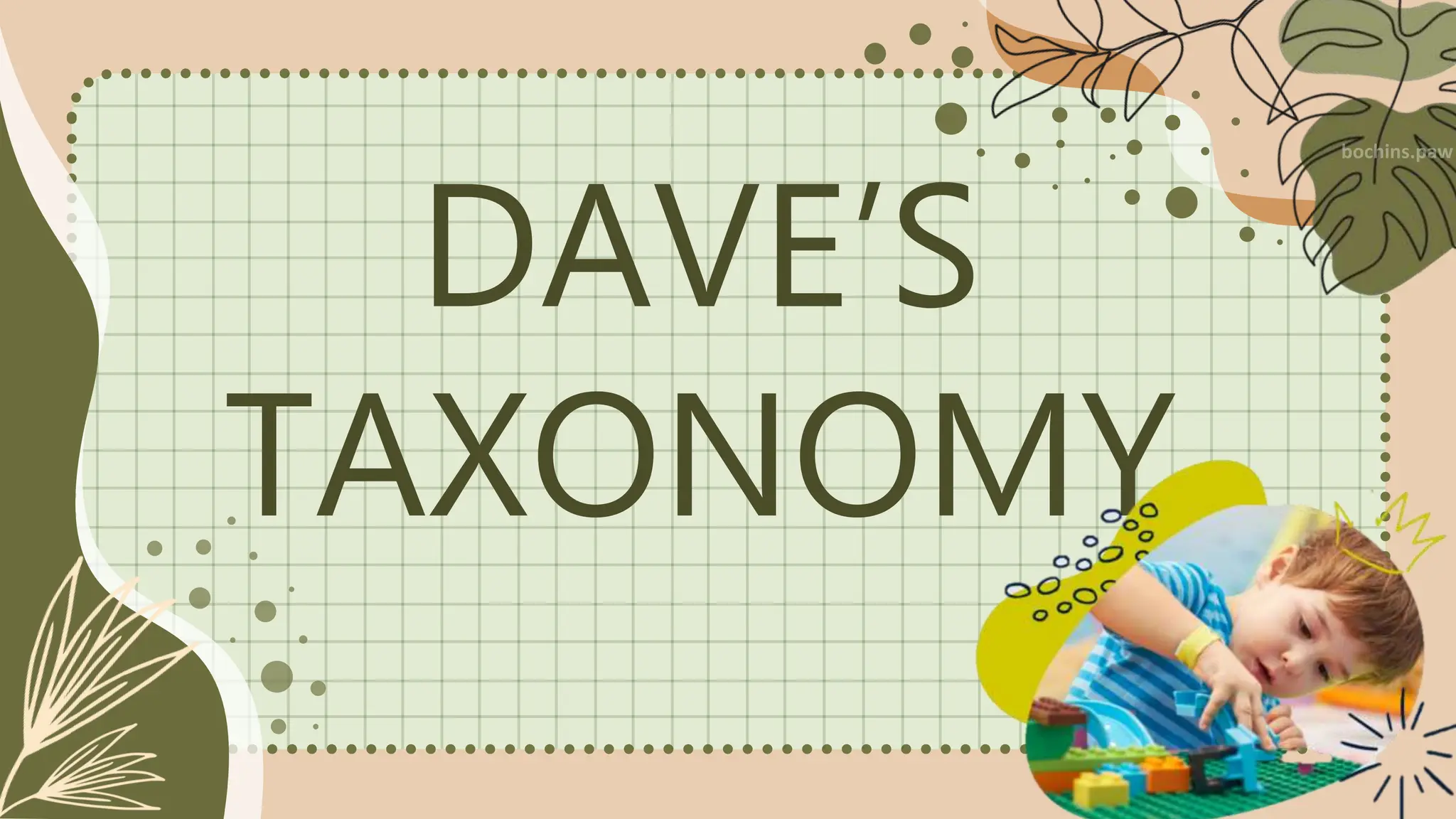 DAVE'S PSYCHOMOTOR DOMAIN | PPTX