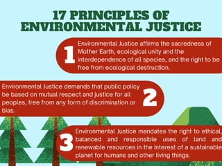 Environmental Justice and Inequality.pdf