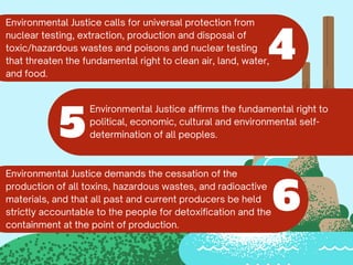 Environmental Justice and Inequality.pdf